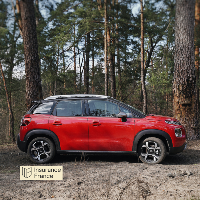 Insurance France – Au revoir to green cards: French car insurance goes ...